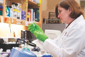 Reagents For the Life Sciences Industry | NEB