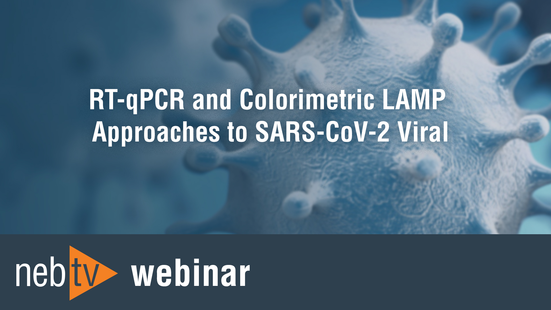 SARS-CoV-2 Rapid Colorimetric LAMP Assay Kit | NEB