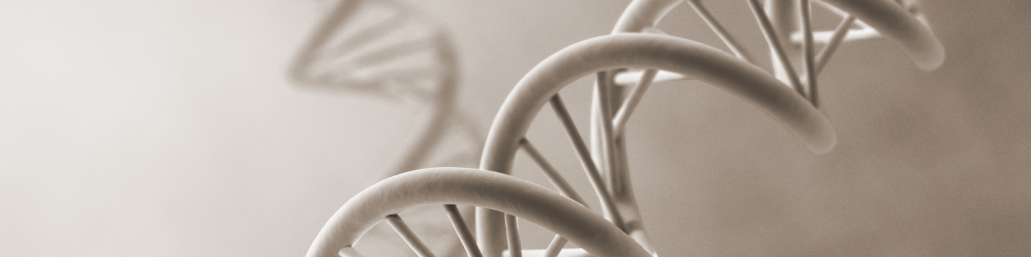 Restriction Endonucleases | NEB