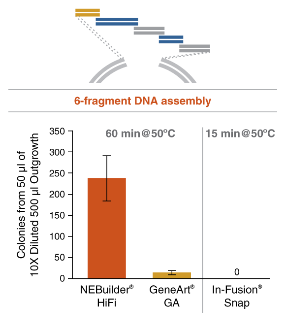 NEBuilder® HiFi DNA Assembly – Benefits Over GeneArt Gibson Assembly ...
