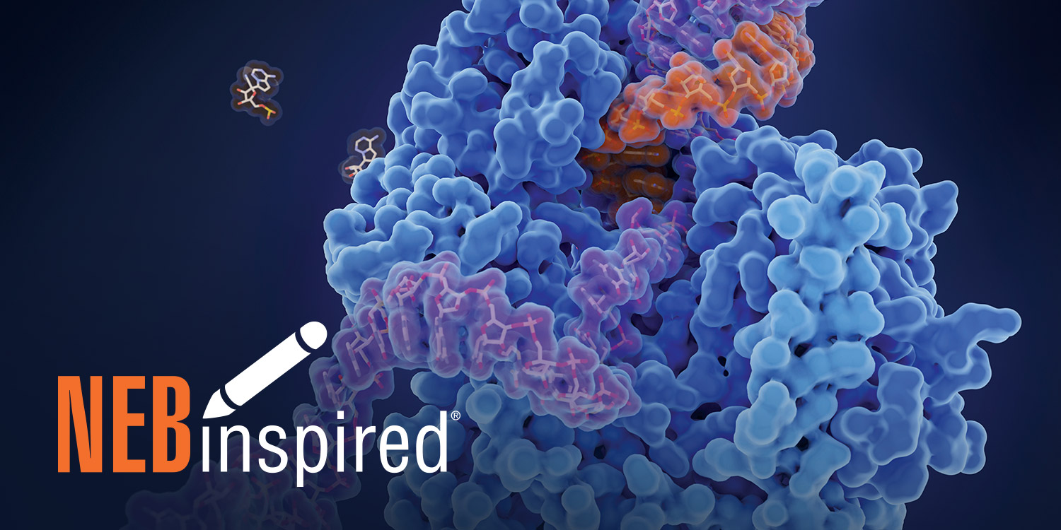 Why Glycerol-free Reagents Matter in Molecular Diagnostics | NEB