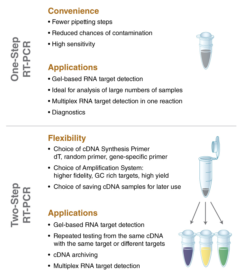 How do I choose between One-Step RT-PCR and Two-Step RT-PCR protocols? | NEB
