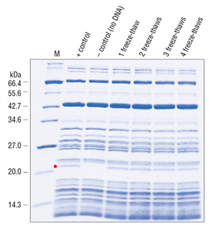 Advantages Of The Pure System | NEB