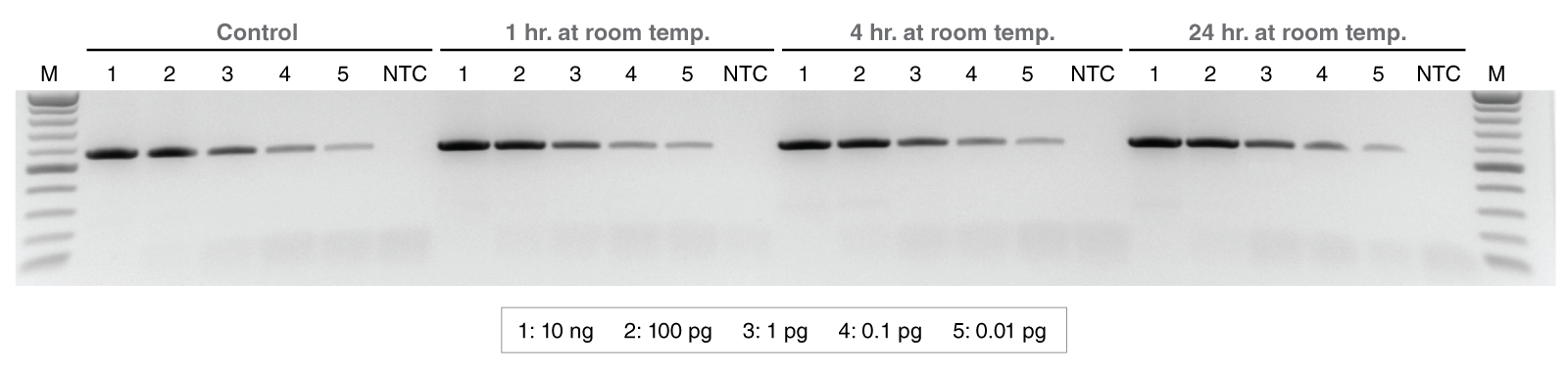 LunaScript® Multiplex One-Step RT-PCR Kit | NEB