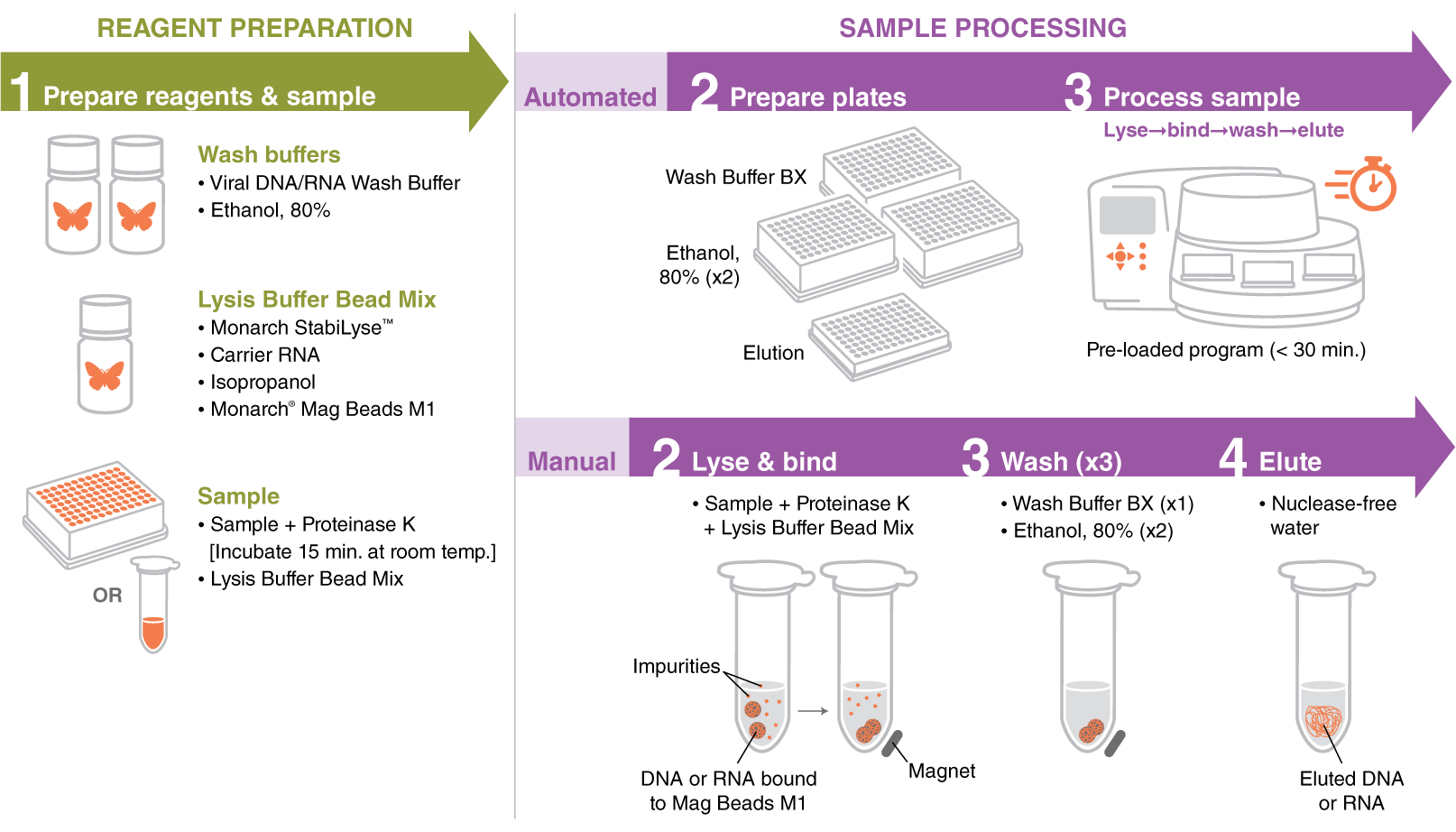 Monarch® Mag Viral DNA/RNA Extraction Kit | NEB