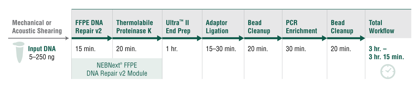 NEBNext FFPE DNA Repair v2 Module | NEB