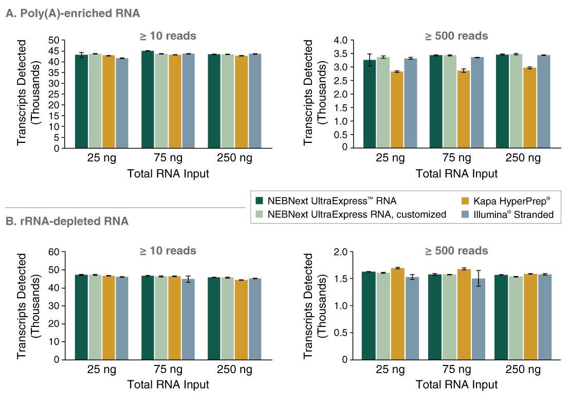 NEBNext ULTRAEXPRESS® RNA Library Prep Kit | NEB