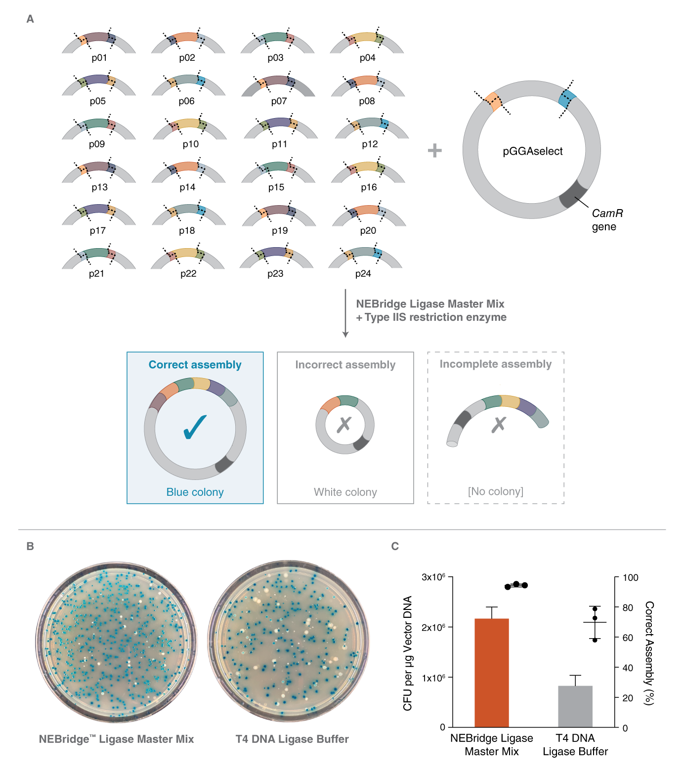 NEBridge® Ligase Master Mix | NEB