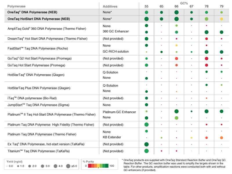 OneTaq® DNA Polymerase | NEB