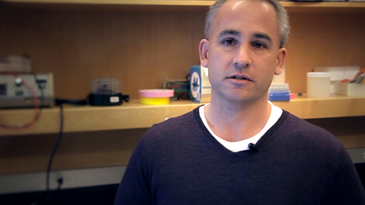 NEBcutter® V3.0 Determine the restriction enzymes that cut your DNA | NEB