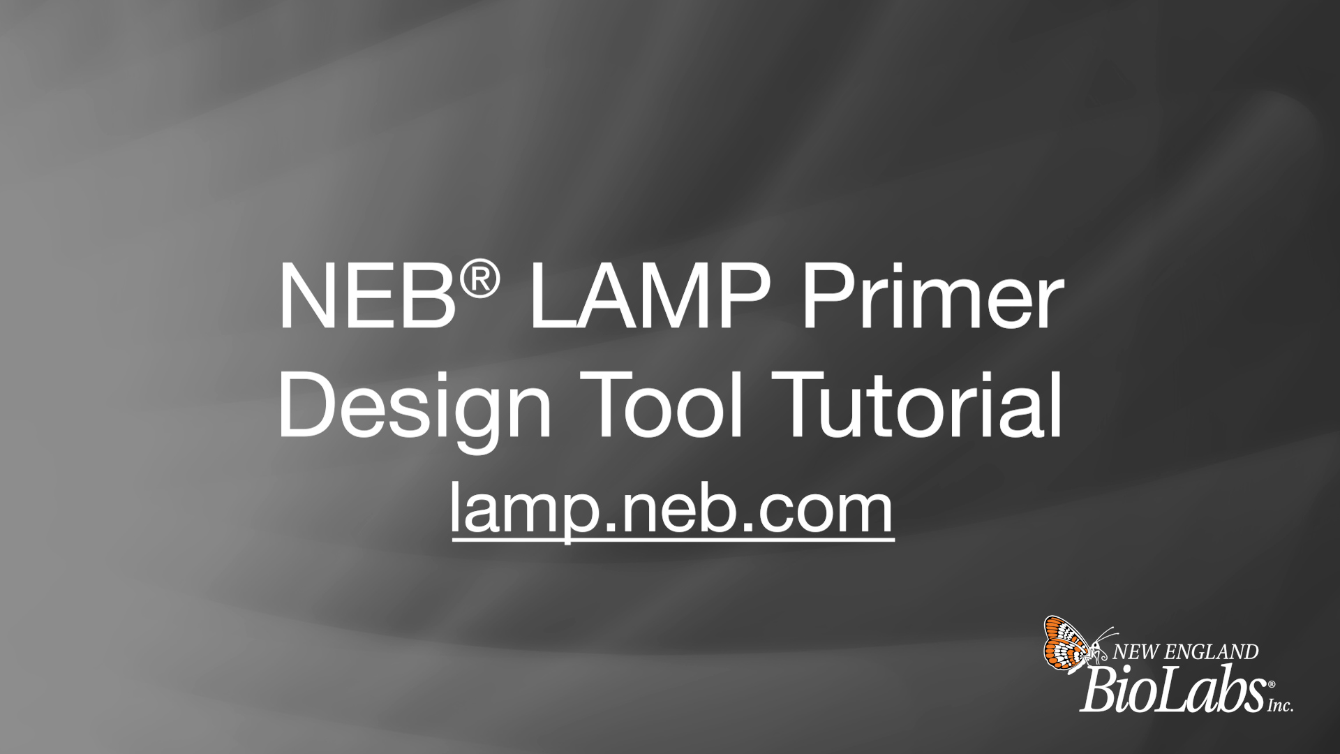 Loop-Mediated Isothermal Amplification | NEB