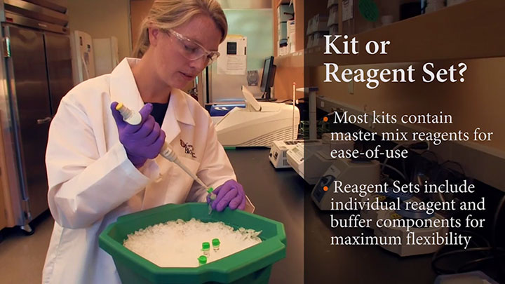 NEBNext® Ultra™ II DNA Library Prep Kit for Illumina® | NEB