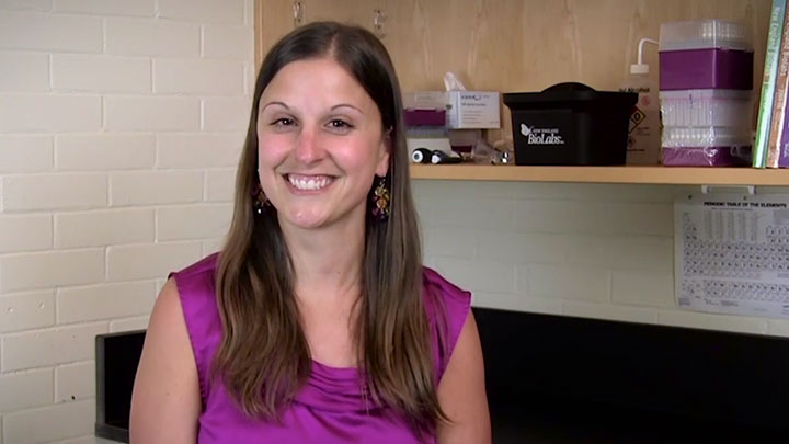 LyoPrime Luna® Probe One-Step RT-qPCR Mix with UDG | NEB