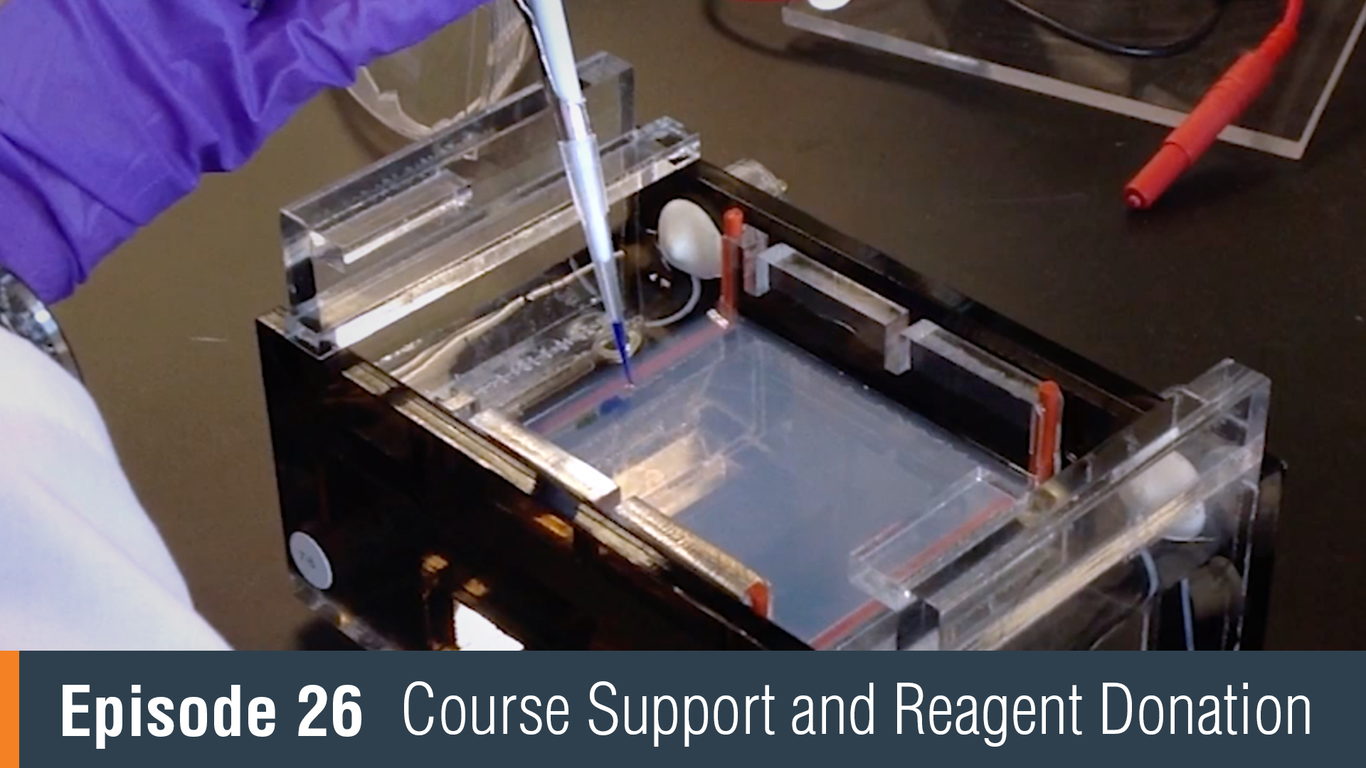 How to submit a request for NEB's reagents for your educational course ...