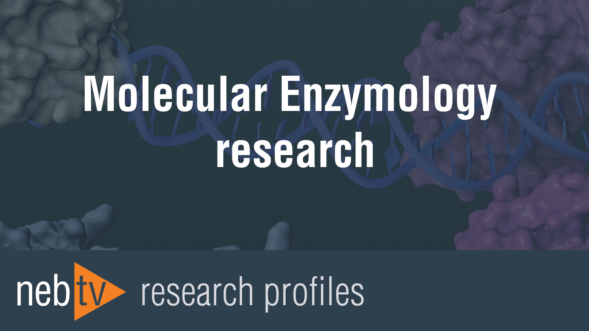 Jennifer Ong, Nucleic Acid Replication Research at NEB | NEB