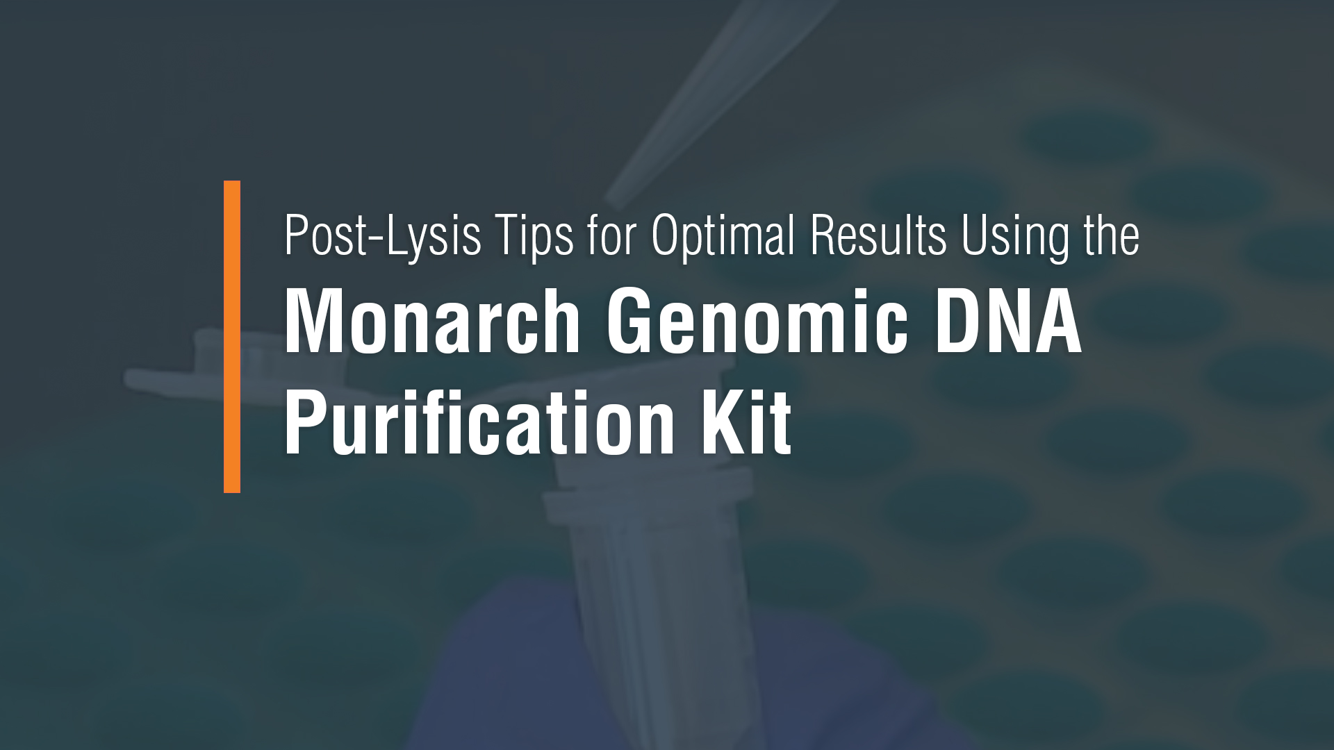 Tips for Efficient Lysis of Tissue Samples Using the Monarch Spin gDNA ...