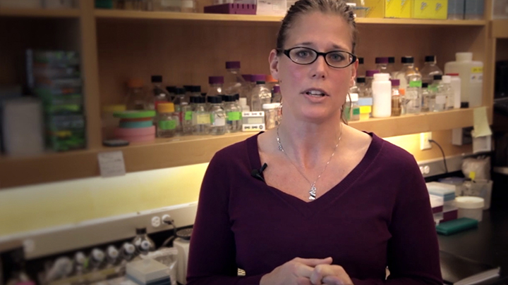 What is Restriction Enzyme Star Activity? | NEB