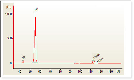 Size Selection using AMPure XP Beads | NEB