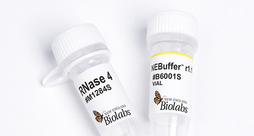 Reagents For the Life Sciences Industry | NEB