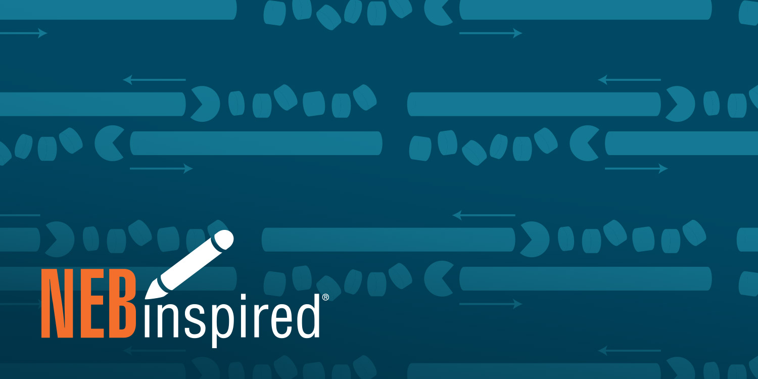 Choosing the best exonuclease for your workflow | NEB