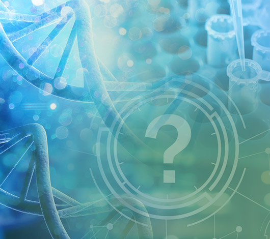 NEB researcher Katie Bilotti Ph.D. shares how deep characterization of ...