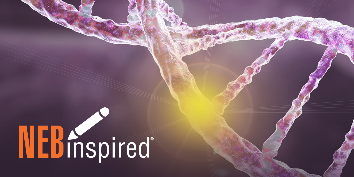 Mutate with Confidence! Tips and tools for successful site-directed ...