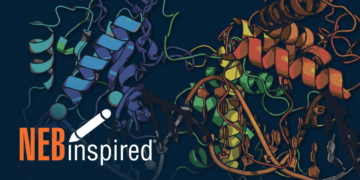 The Vital Role of Restriction Enzymes in Molecular Cloning and DNA ...