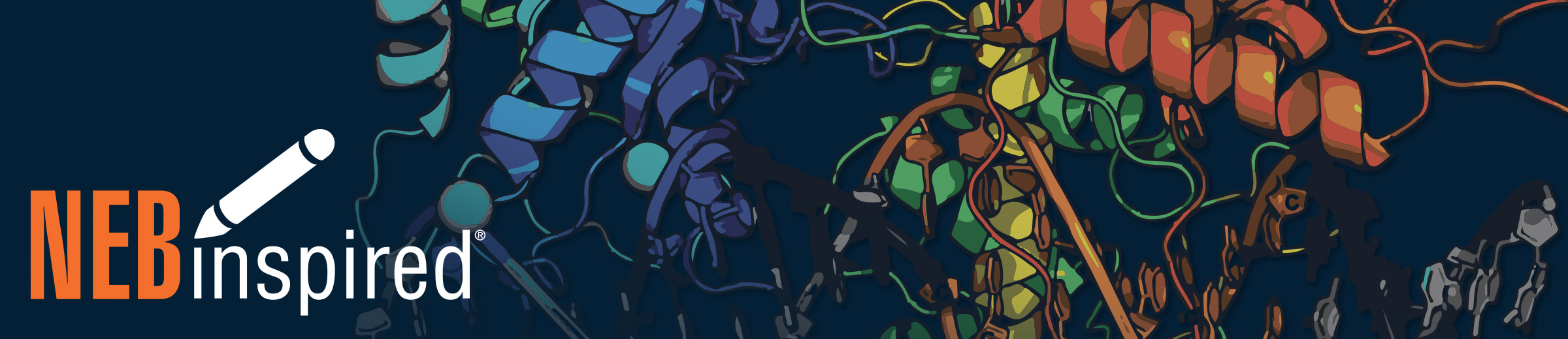 The Vital Role of Restriction Enzymes in Molecular Cloning and DNA ...