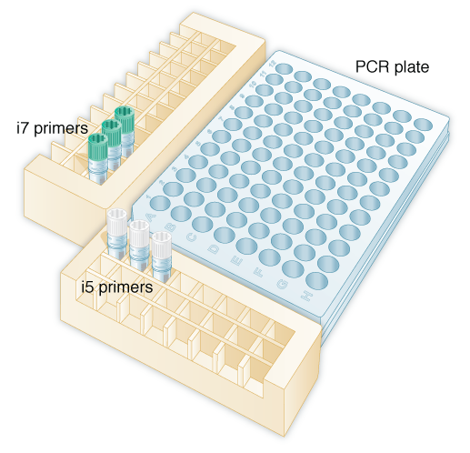 Setting up the PCR Reaction - NEBNext Multiplex Oligos for Illumina ...
