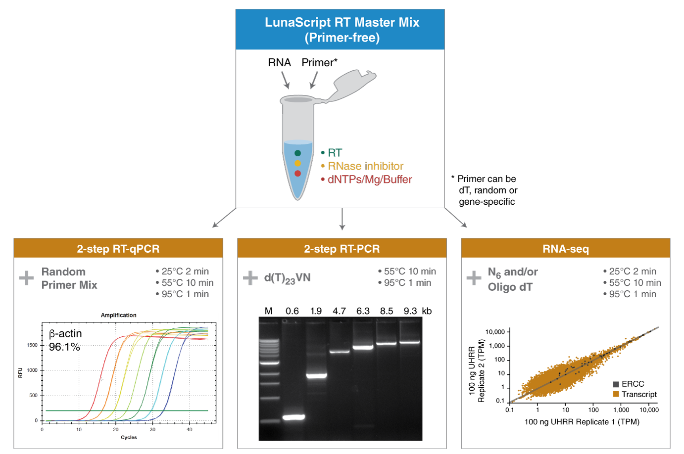 LunaScript® RT Master Mix Kit (Primer-free) | NEB