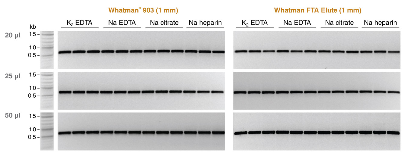 Q5® Blood Direct 2X Master Mix | NEB