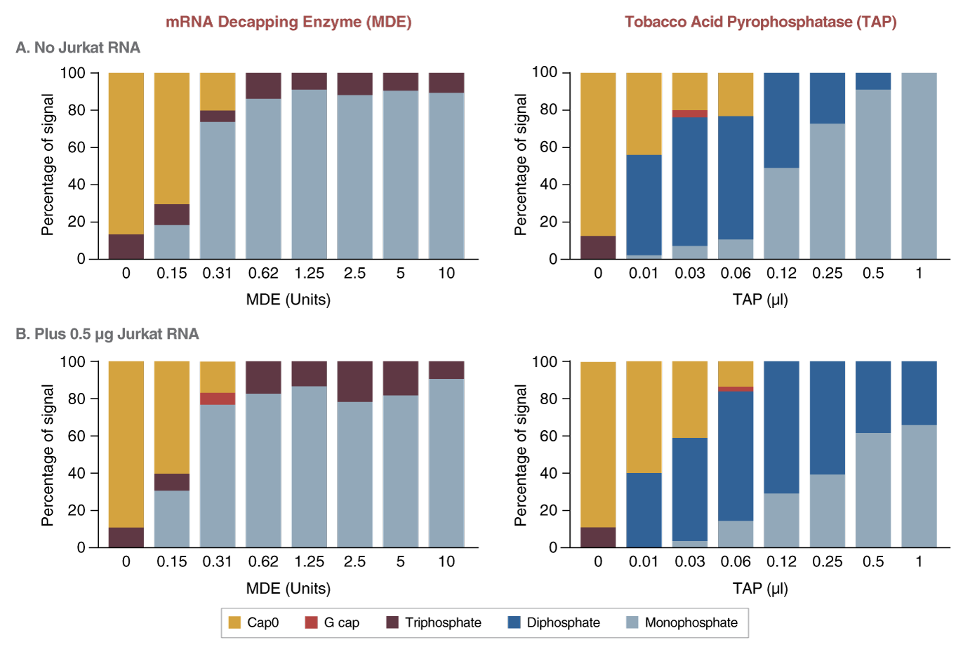 mRNA Decapping Enzyme | NEB