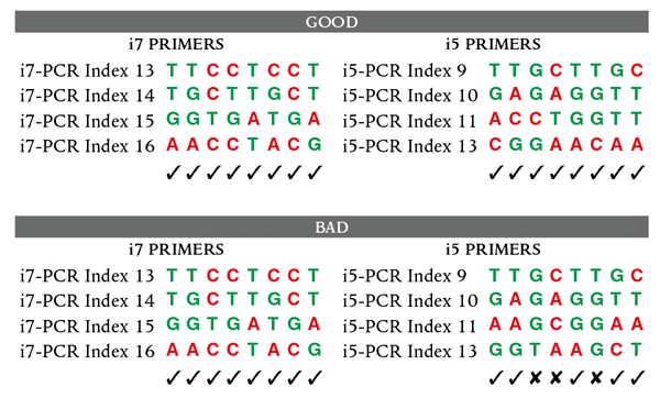 Setting up the PCR Reaction - NEBNext Multiplex Oligos for Illumina ...