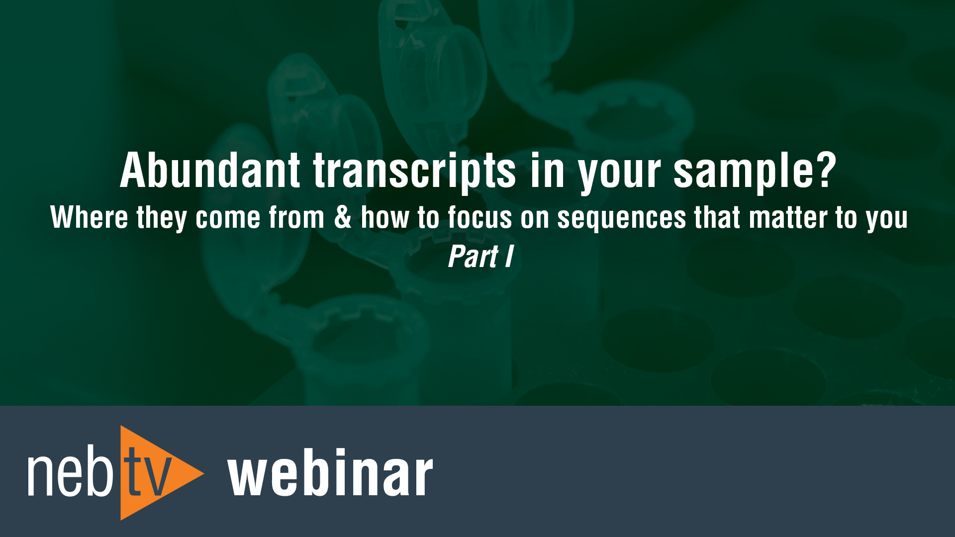 RNA Related Workflows | NEB