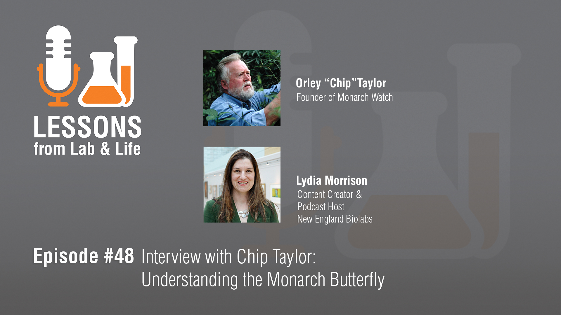 Interview with Orley 'Chip' Taylor: Understanding the Monarch Butterfly ...