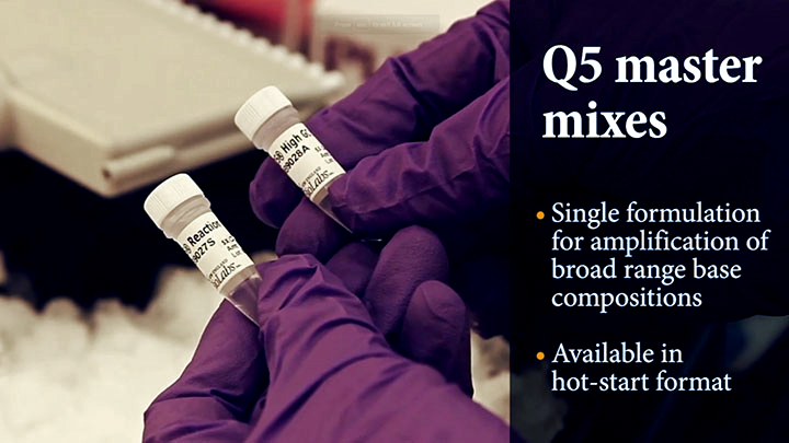 How to Amplify GC-rich DNA | NEB