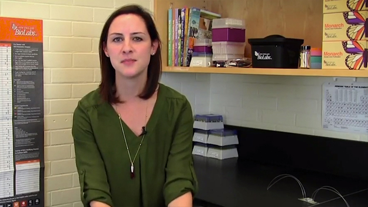 Behind the paper Examining Sources of Error in PCR by Single-Molecule ...