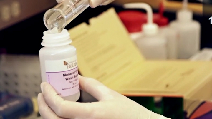 Monarch® DNA Cleanup Binding Buffer | NEB