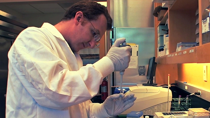 NEBNext® Ultra™ II for DNA Library Prep | NEB