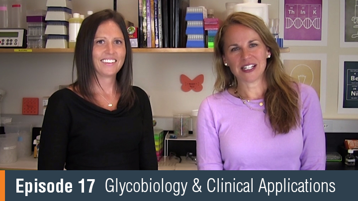 Overview of Glycobiology | NEB