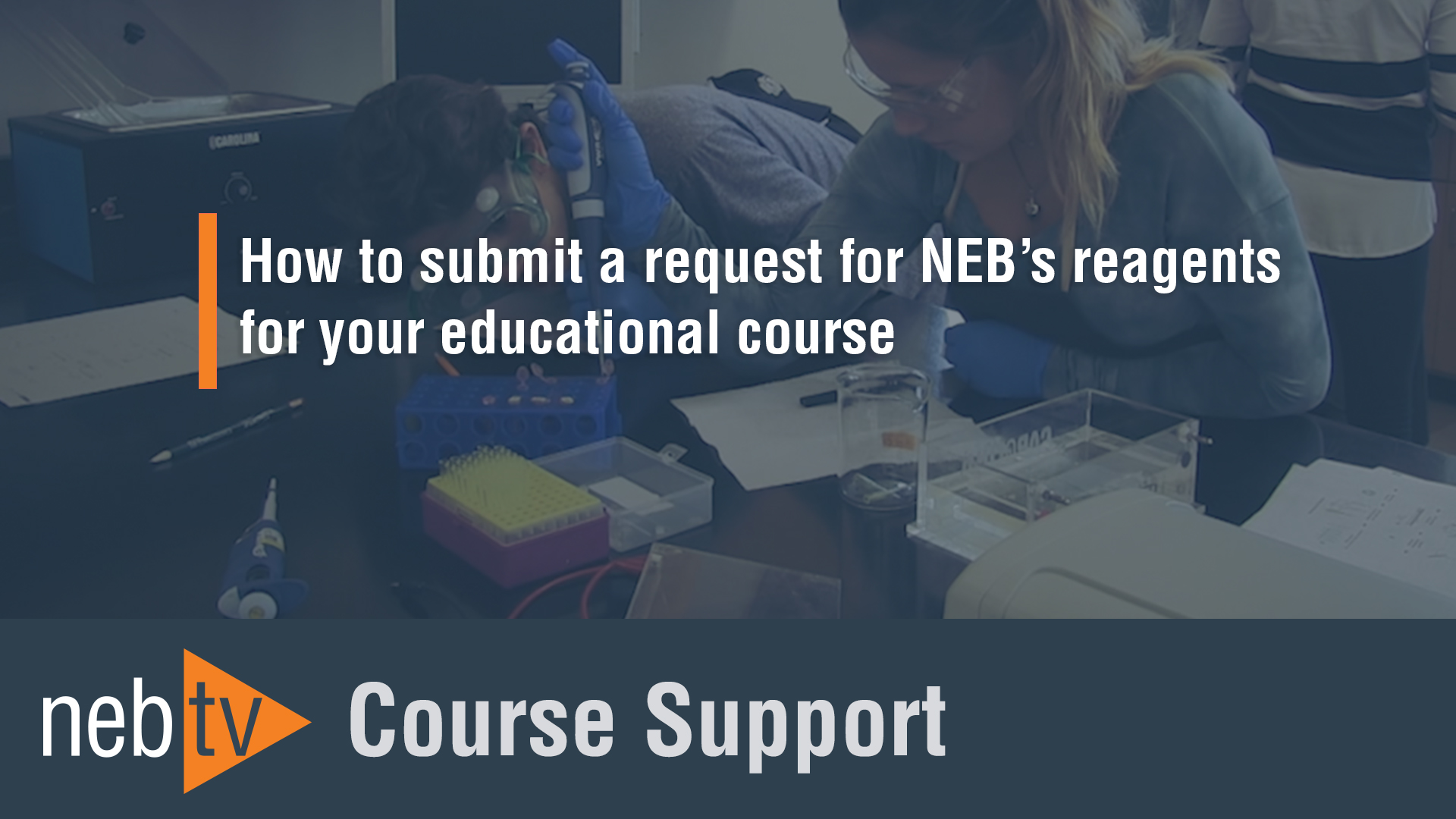 Course Support & Reagent Donation | NEB