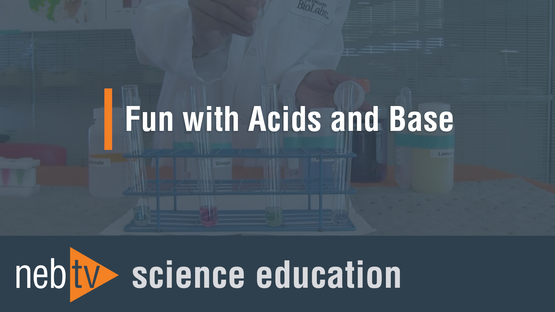 NEB Kids’ Science Day Experiments | NEB