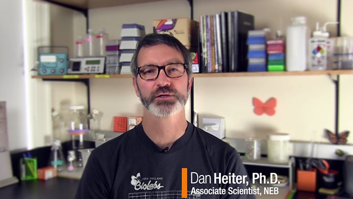 Golden Gate Assembly Tool Tutorial | NEB