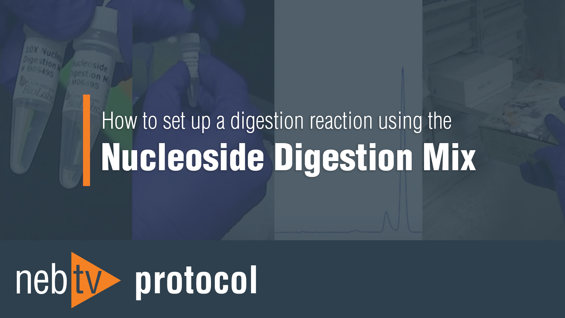Nucleoside Digestion Mix | NEB