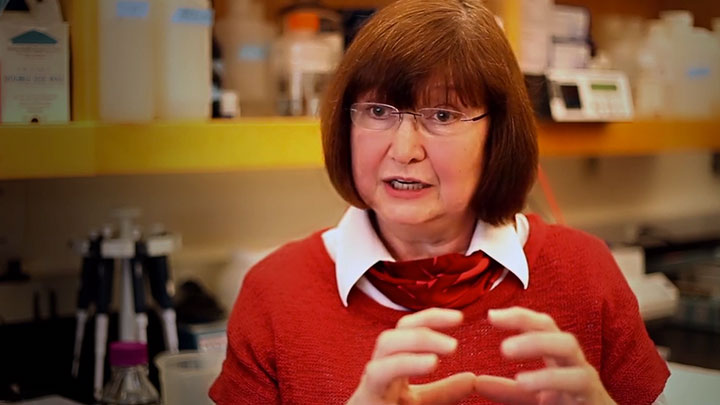 PCR Cloning Method | NEB