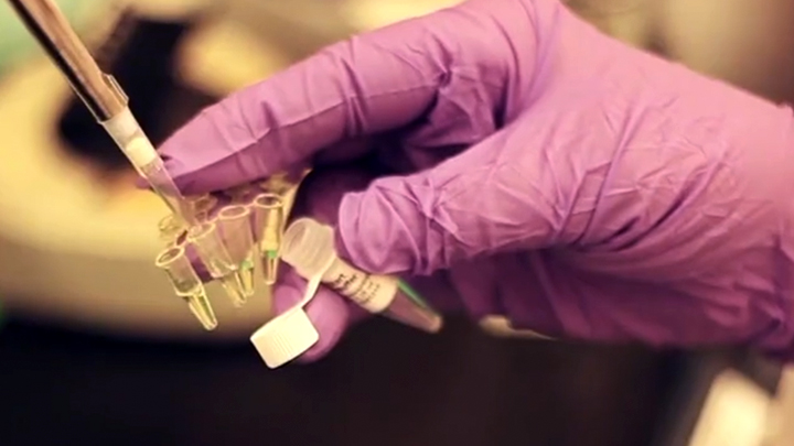 Overview of qPCR | NEB