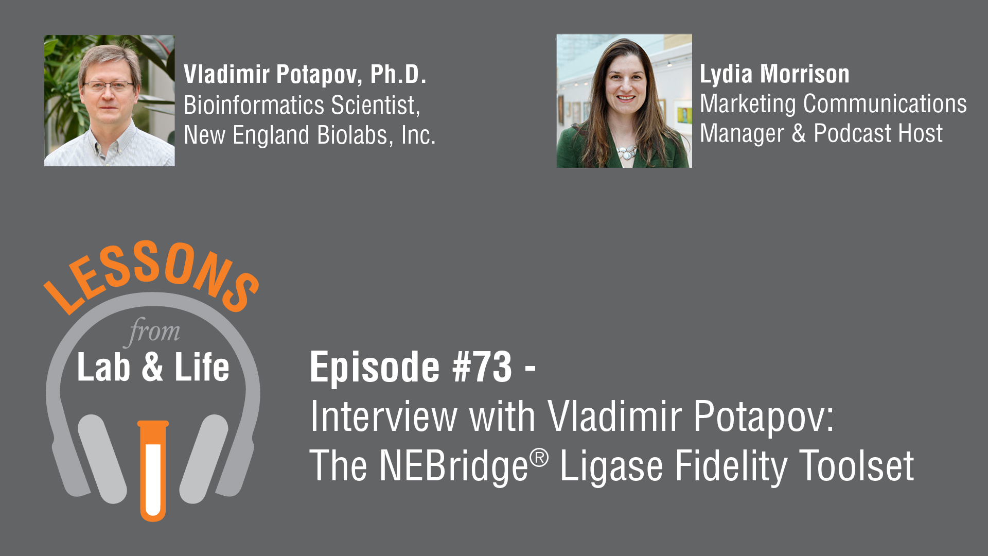 Interview with Vladimir Potapov: The NEBridge Liagse Fidelity Tool | NEB