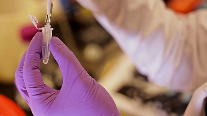 NEB Restriction Enzyme Double Digest Protocol | NEB