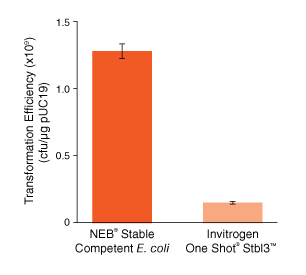 NEB® Stable Competent E. coli (High Efficiency) | NEB