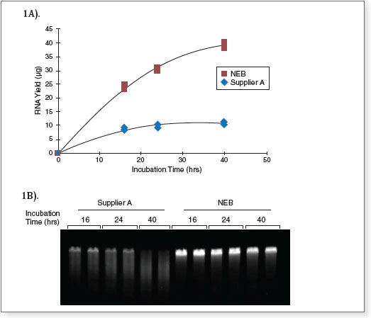HiScribe® T7 High Yield RNA Synthesis Kit | NEB
